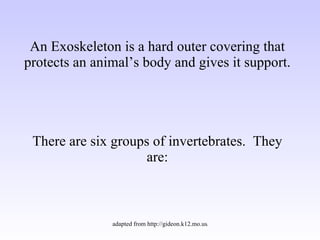 Classification of animals | PPT