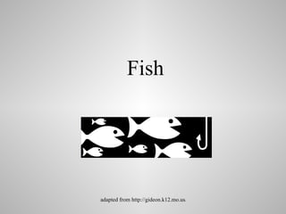 Classification of animals | PPT