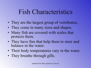 Classification of animals | PPT