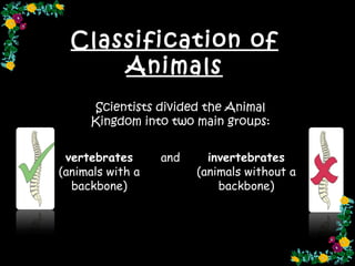 Classification of animals | PPT