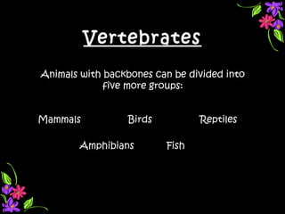 Classification of animals | PPT | Reptiles | Pets