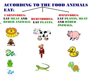 Classification of animals | PPT