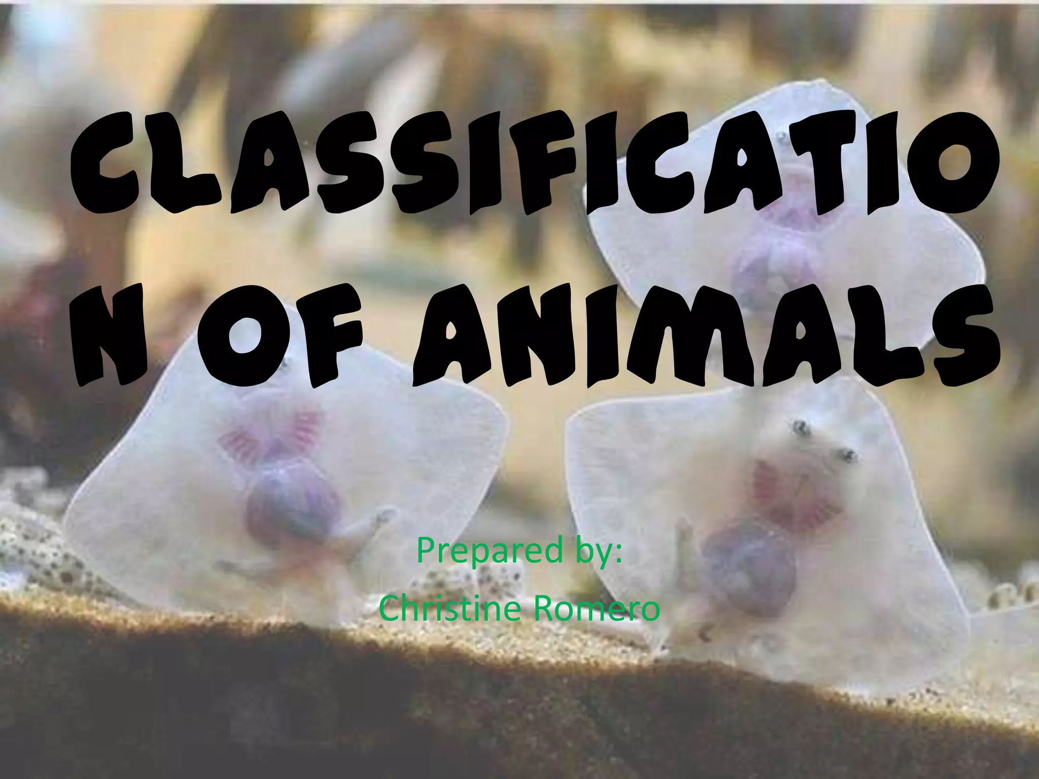 Classification of animals (invertebrates) | PPTX | Biological Sciences ...