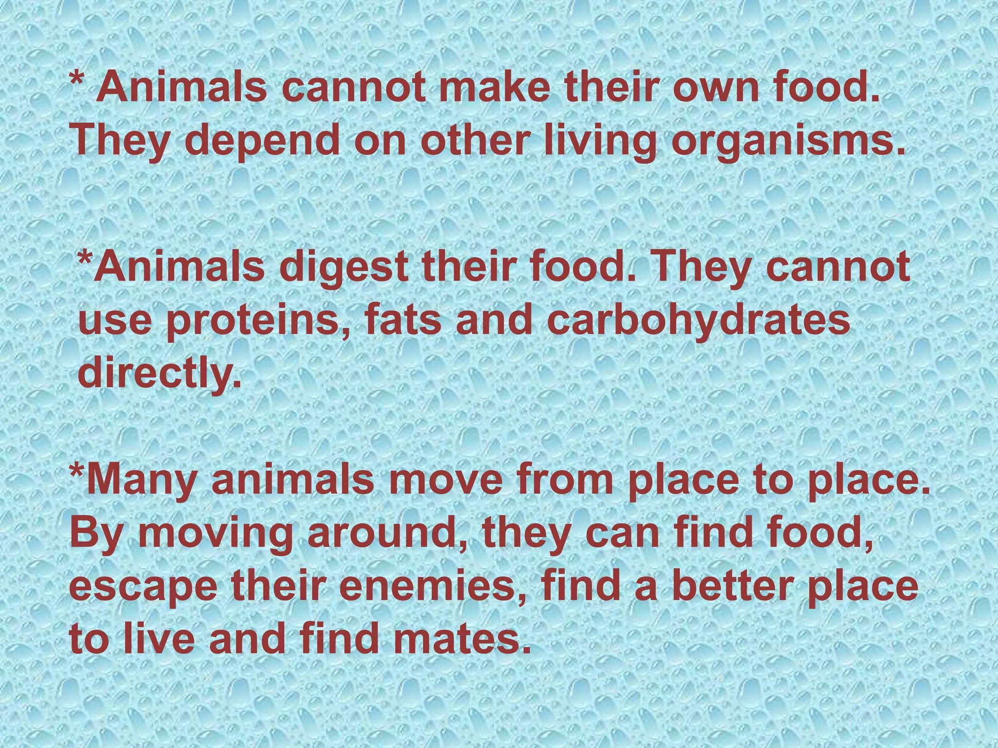 Classification of animals (invertebrates) | PPTX