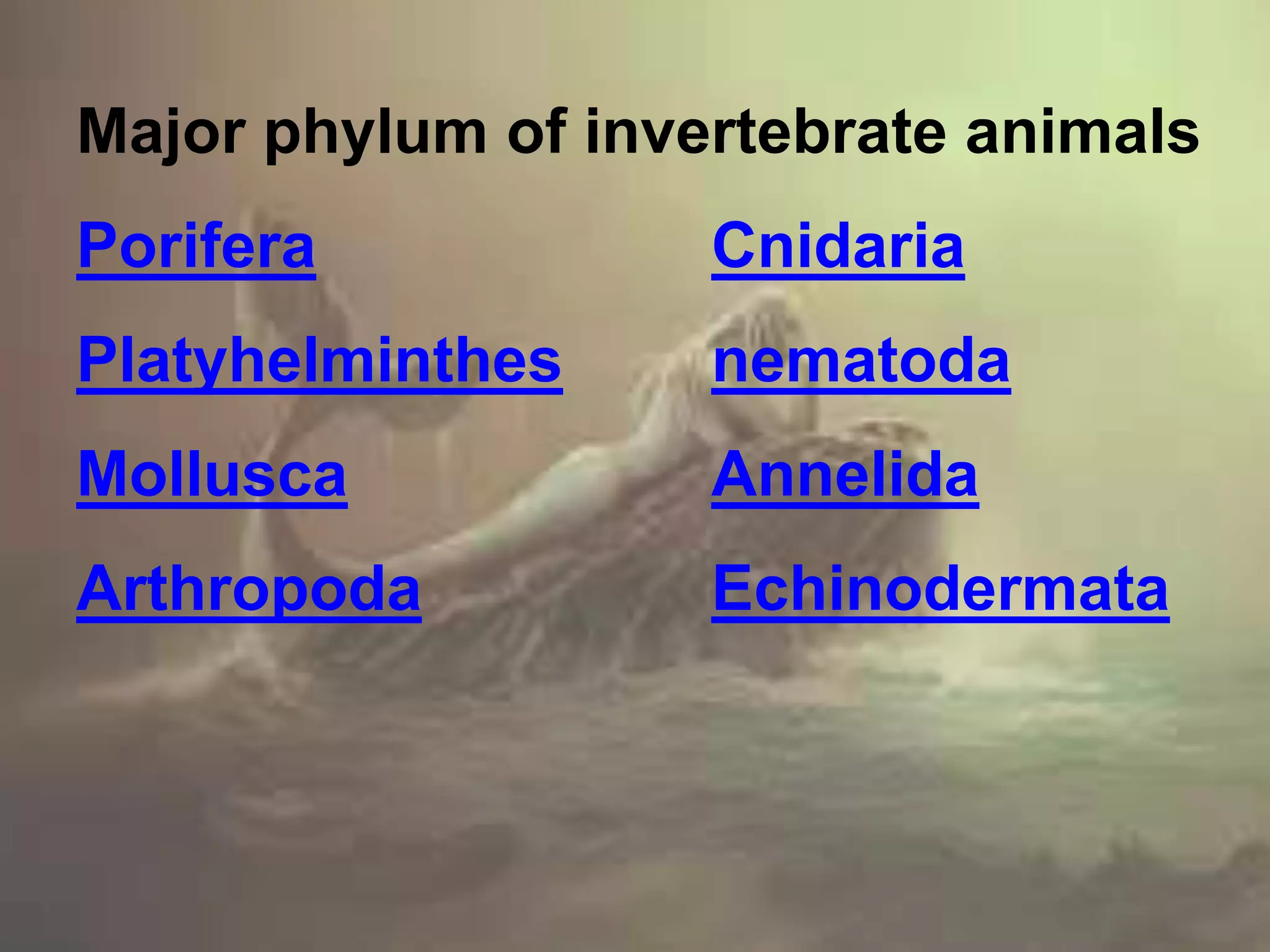 Classification of animals (invertebrates) | PPTX