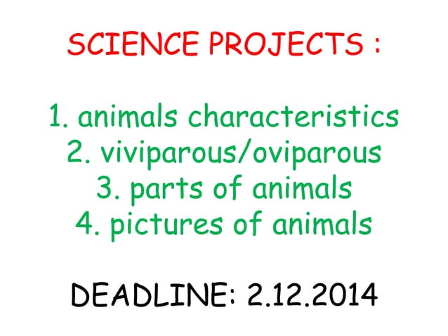 Classification of animals | PPT