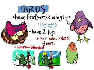 Classification of animals | PPT