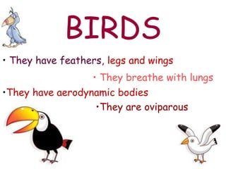 Classification of animals | PPT