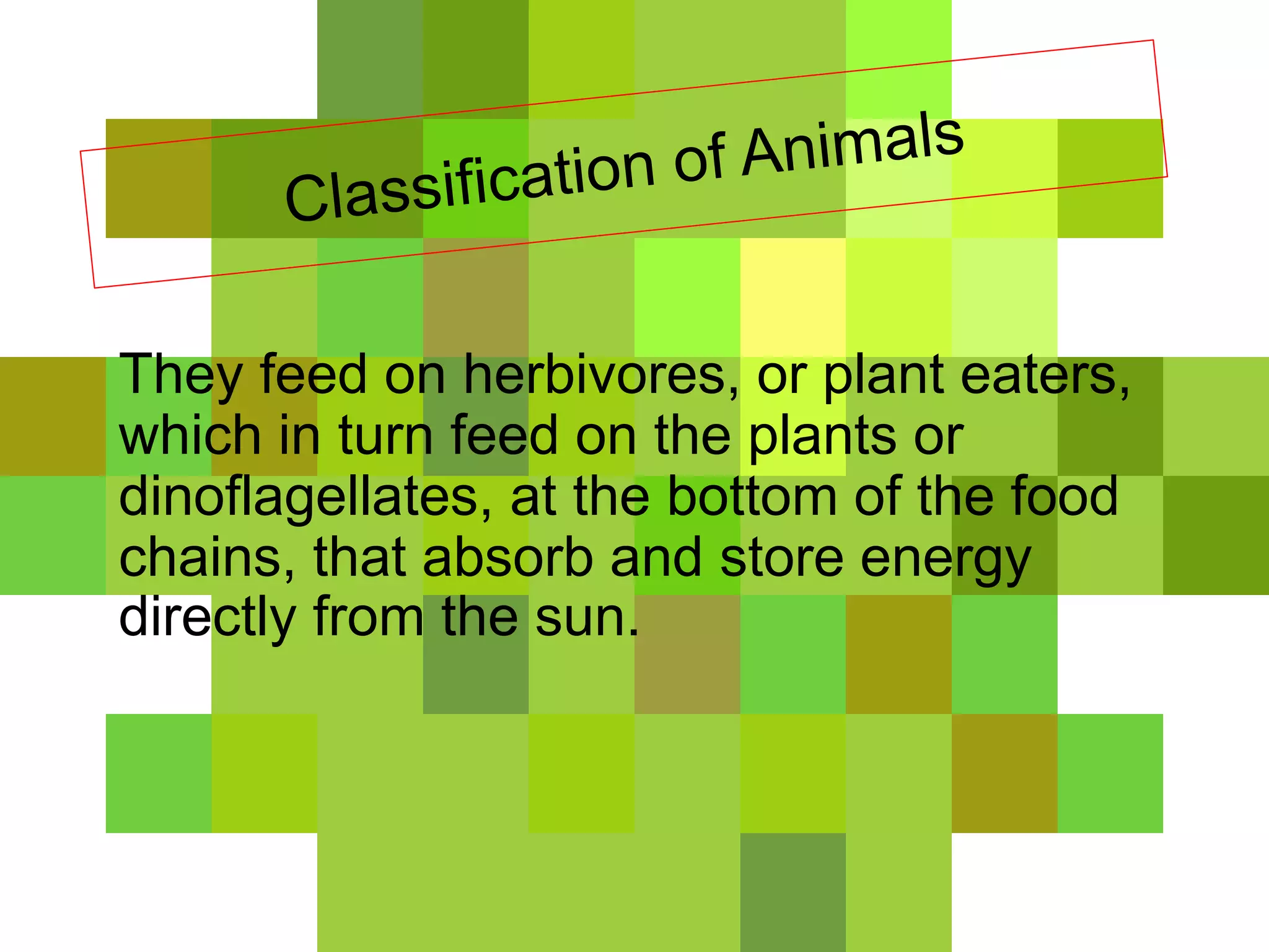 Classification of animals | PPTX