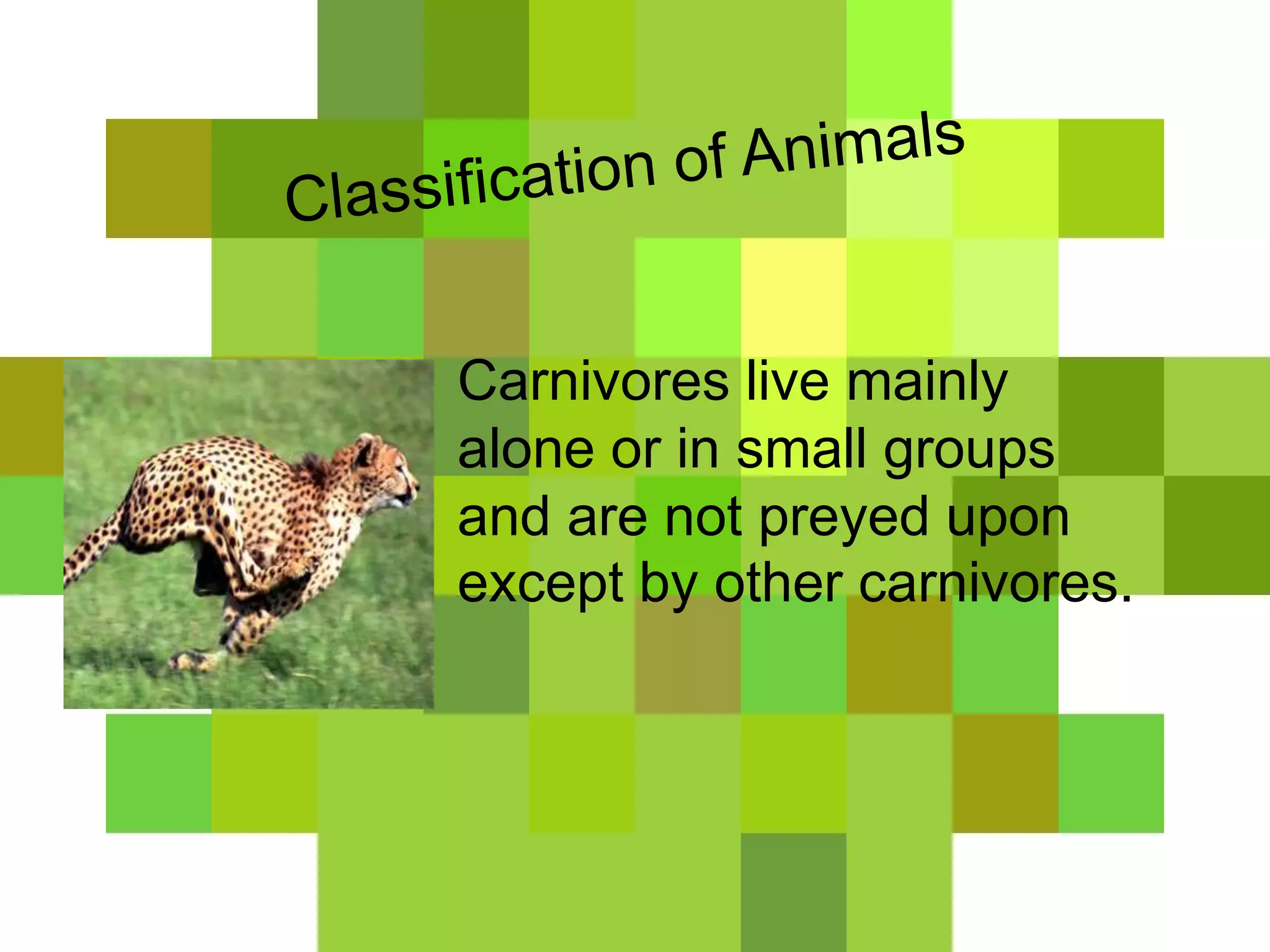 Classification of animals | PPTX