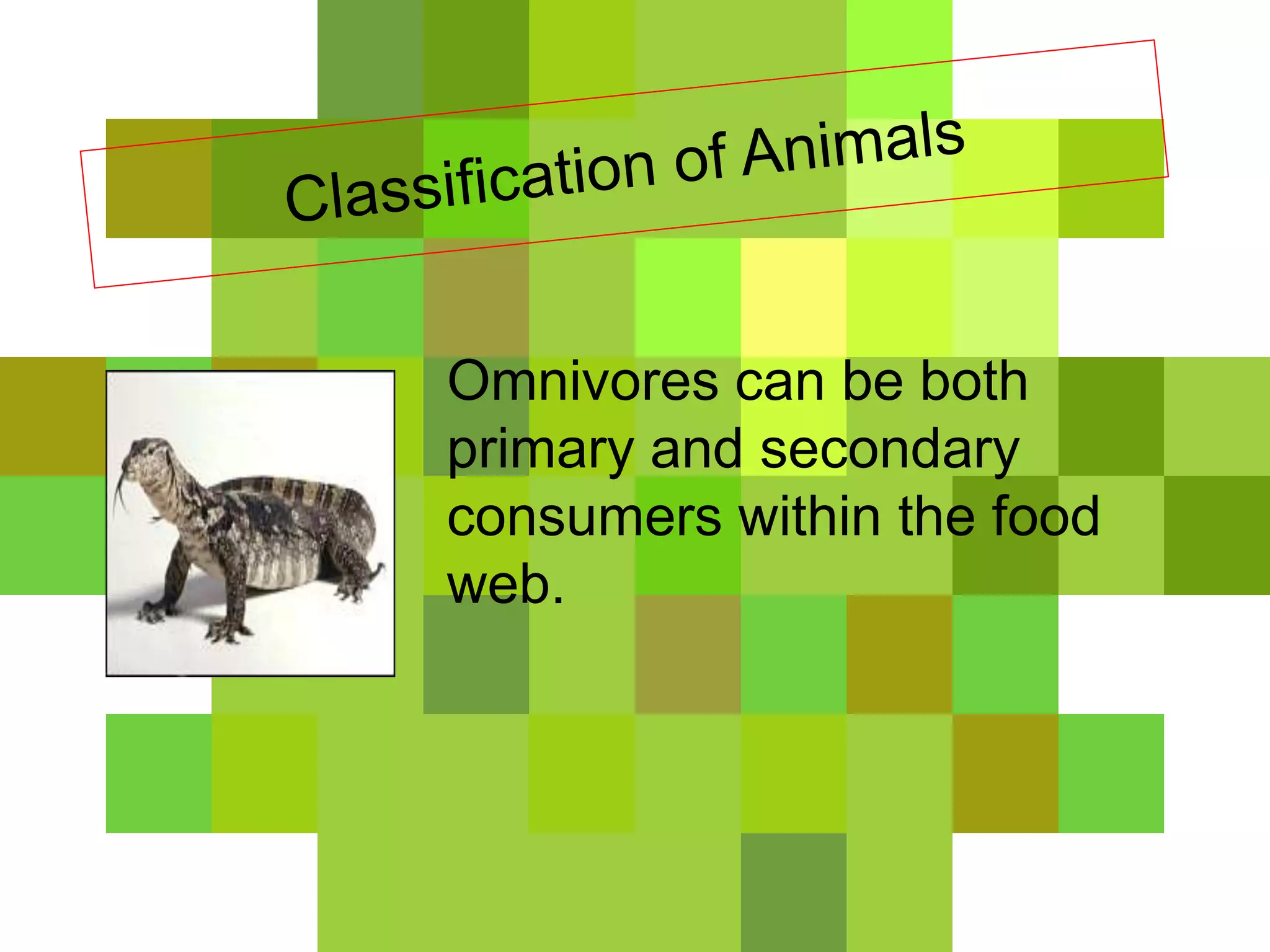 Classification of animals | PPTX