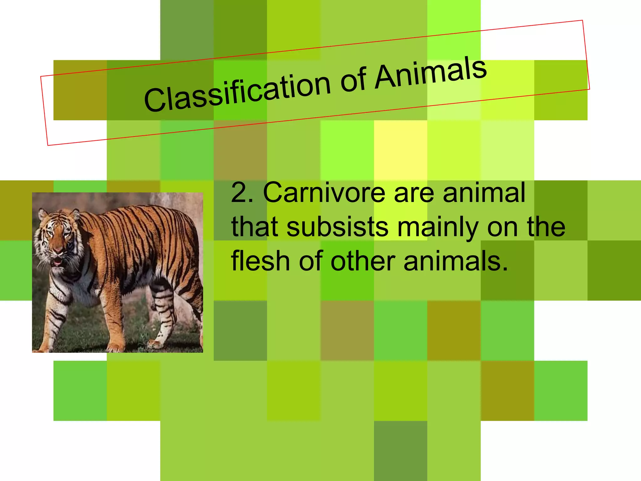 Classification of animals | PPTX