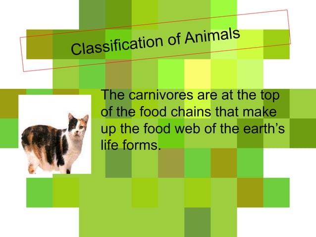 Classification of animals | PPT