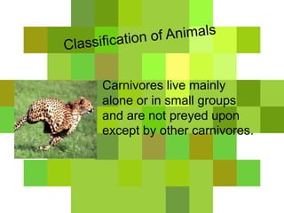 Classification of animals | PPTX