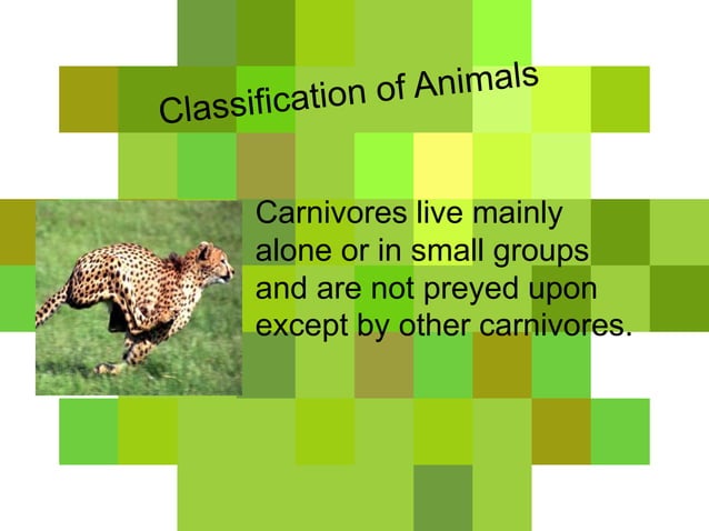 Classification of animals | PPT