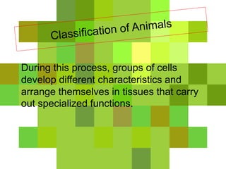 Classification of animals | PPTX
