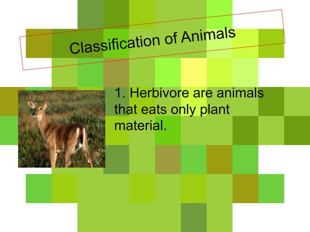 Classification of animals | PPT