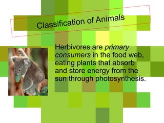 Classification of animals | PPTX