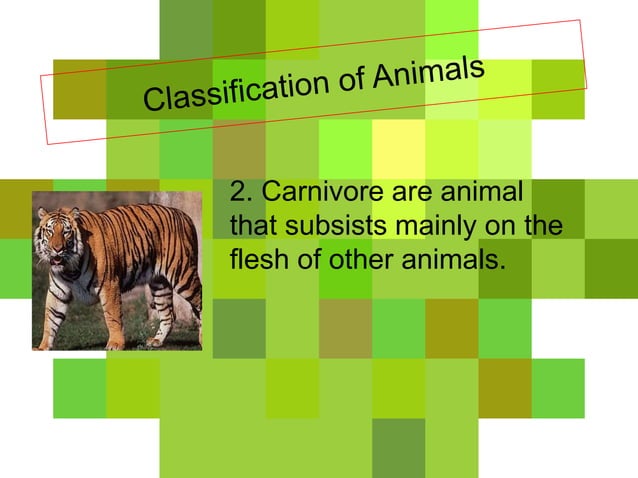 Classification of animals | PPT