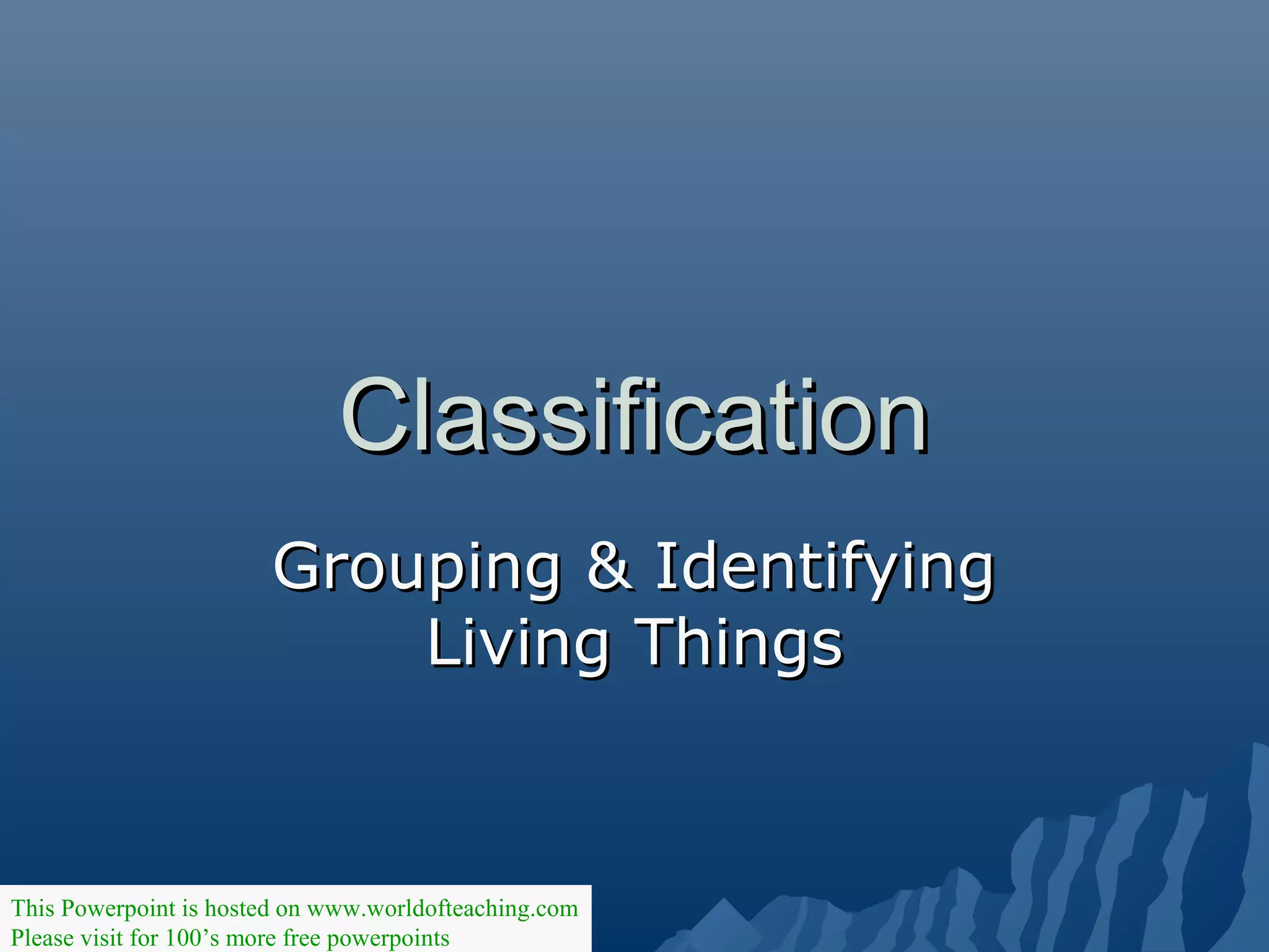 Classification of animals | PPT