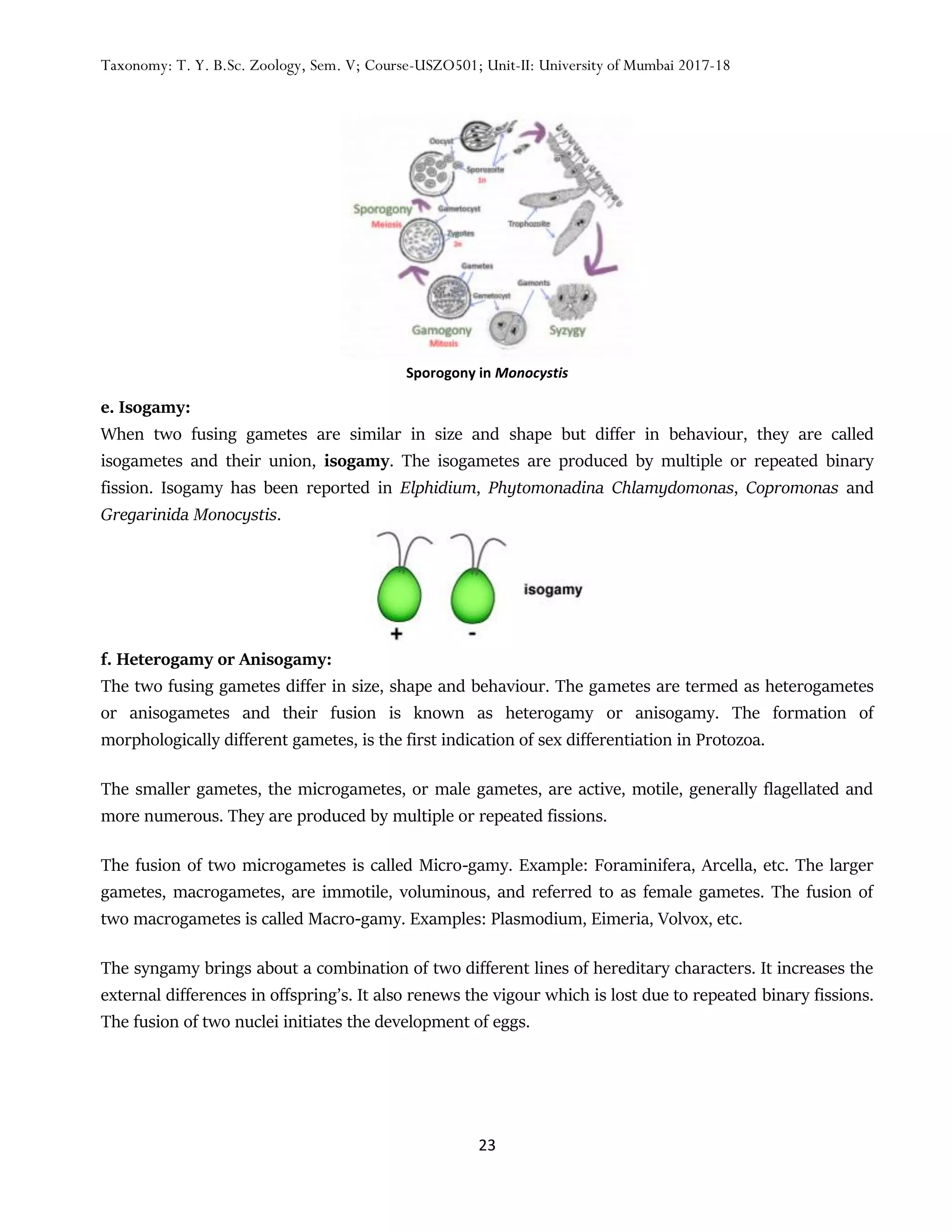 Classification of animals: Protozoa, Porifera and Coelenterata | PDF