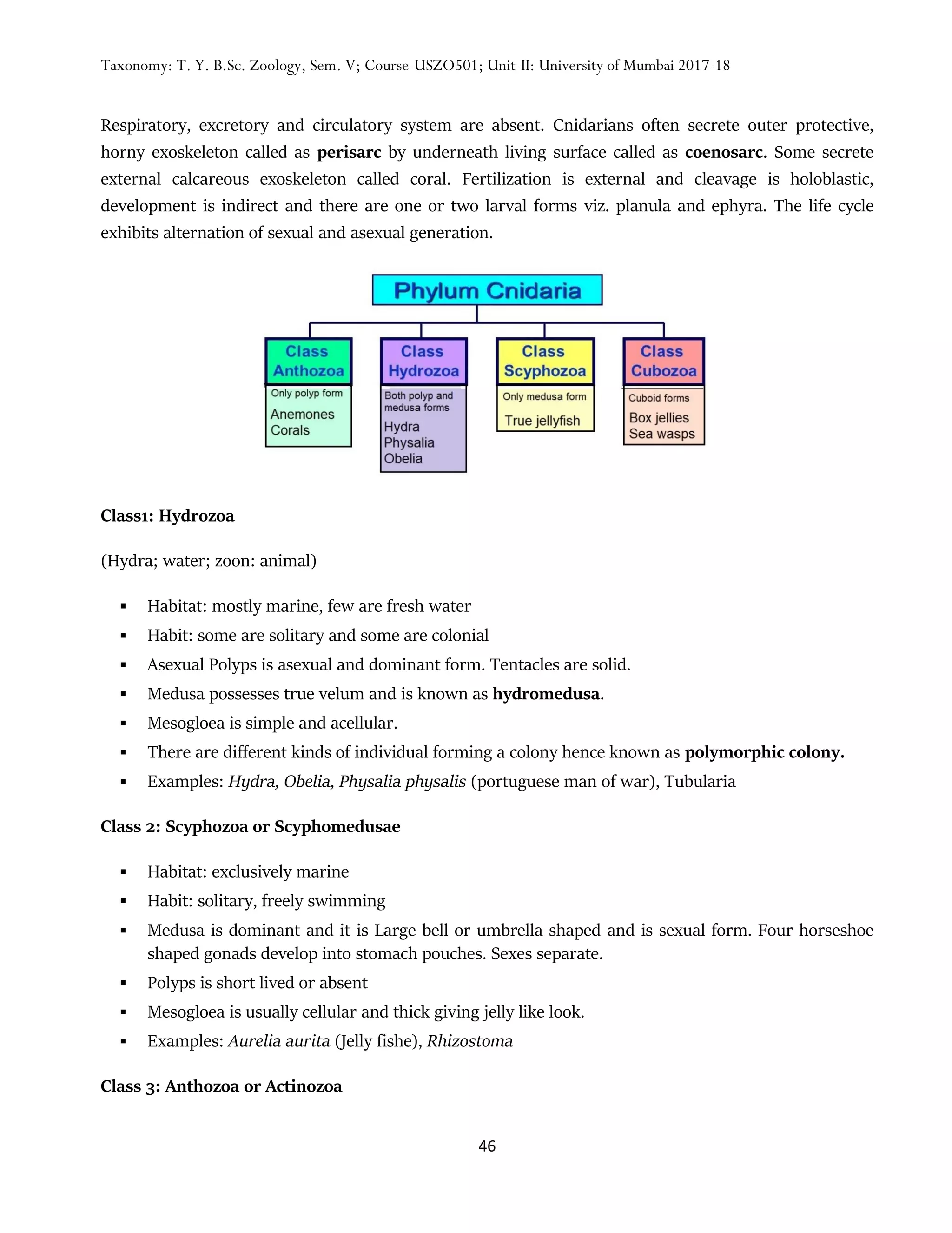Classification of animals: Protozoa, Porifera and Coelenterata | PDF
