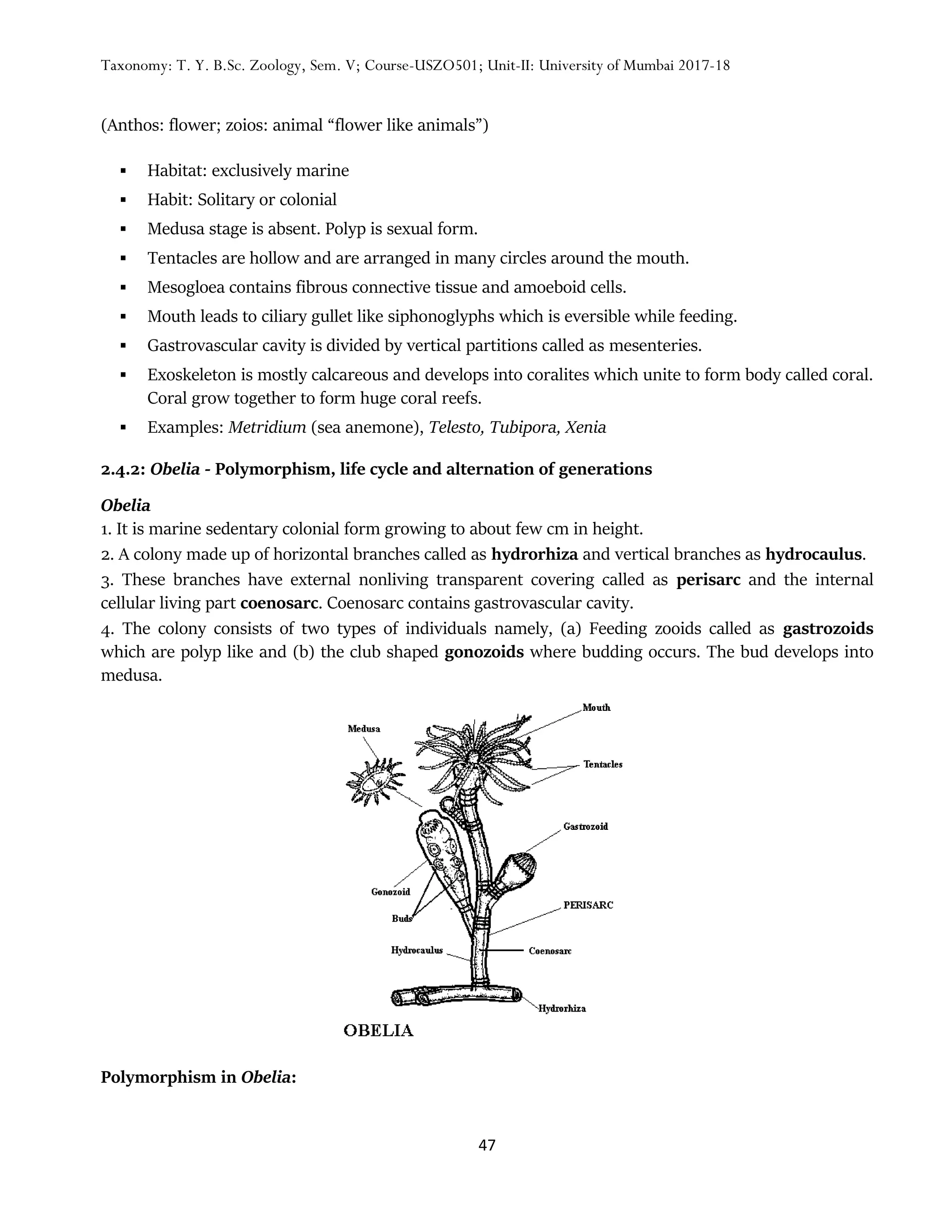 Classification of animals: Protozoa, Porifera and Coelenterata | PDF