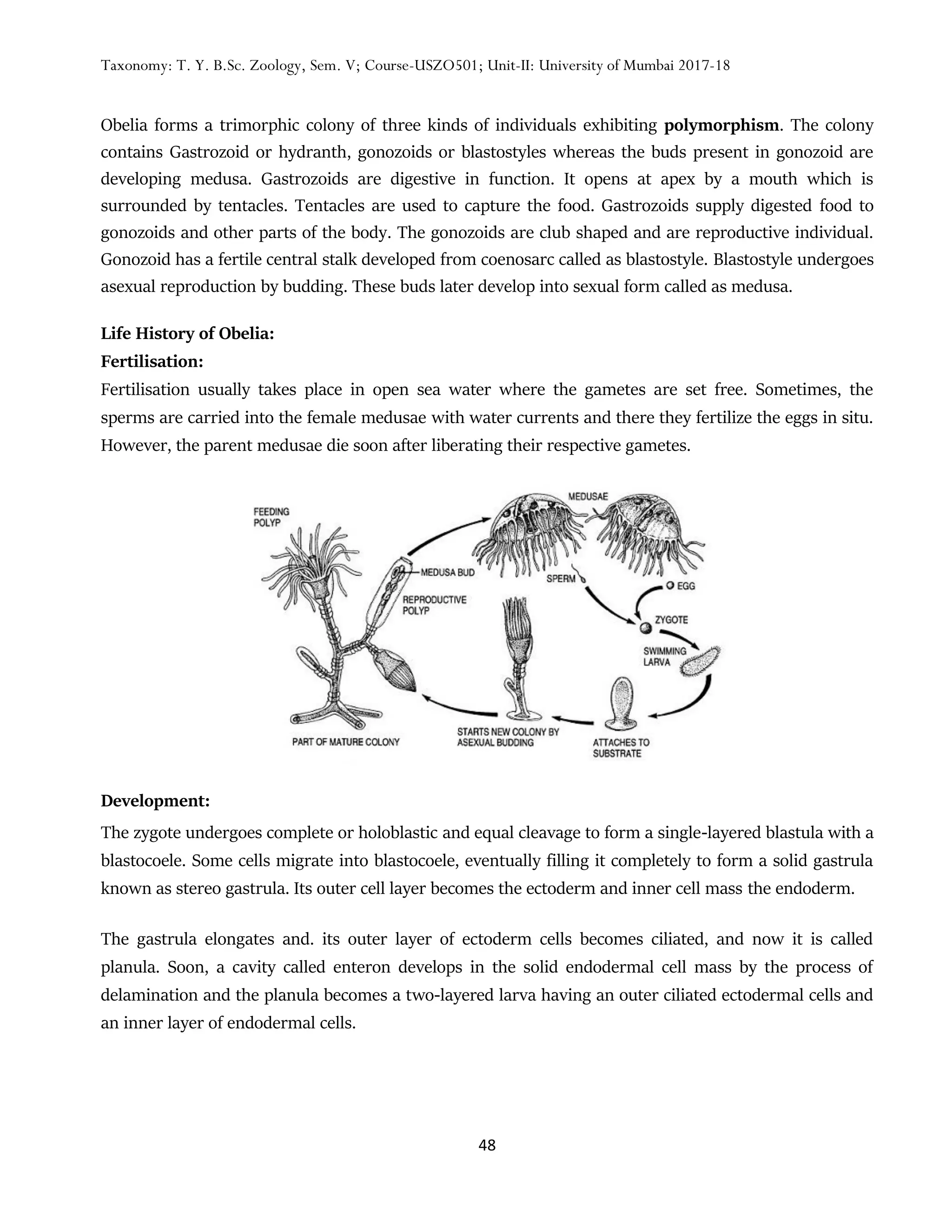 Classification of animals: Protozoa, Porifera and Coelenterata | PDF