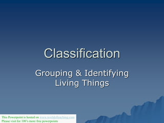 Classification of Animals.ppt