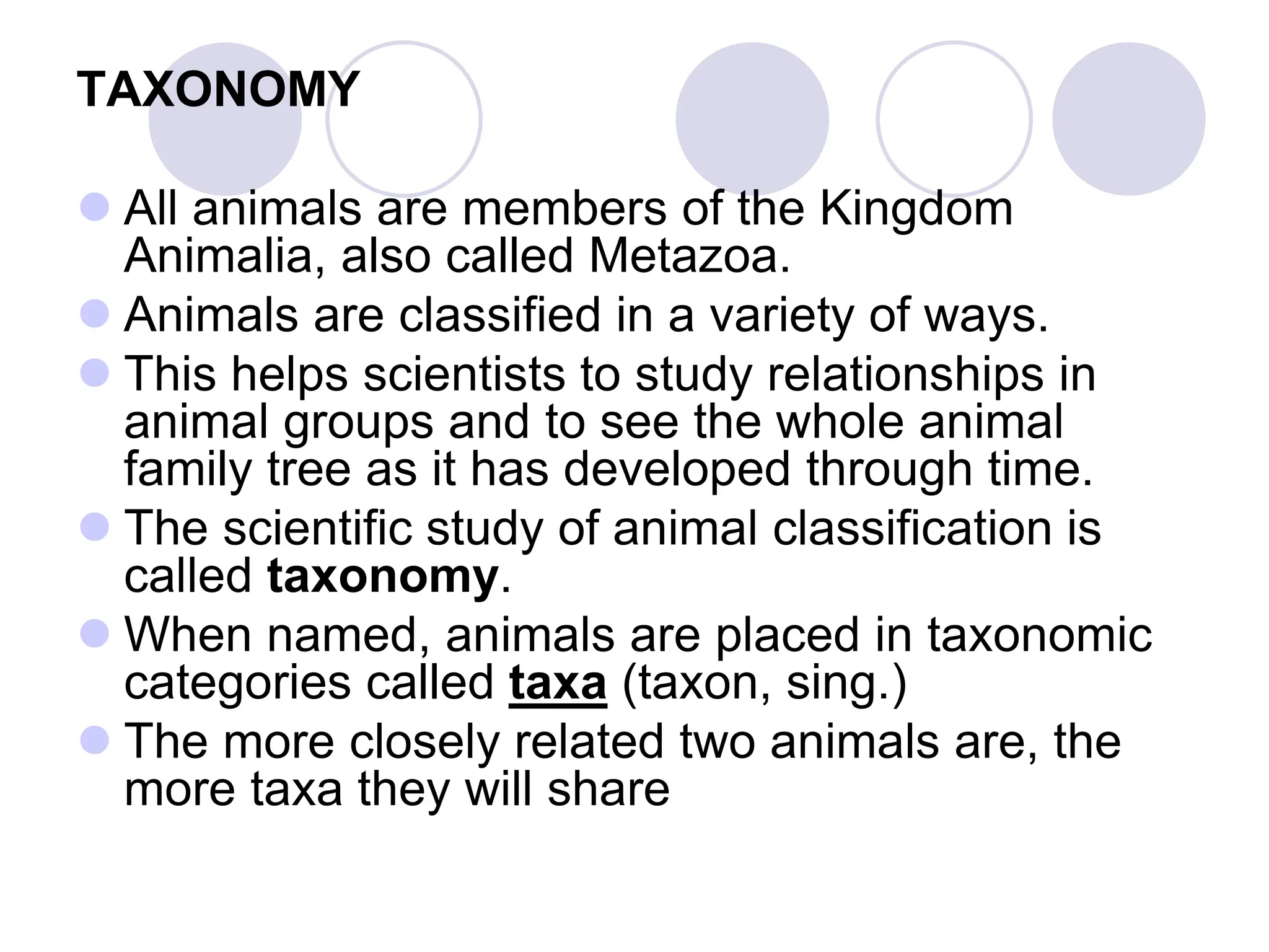 Classification of animalm kknolnolmomos.pptx