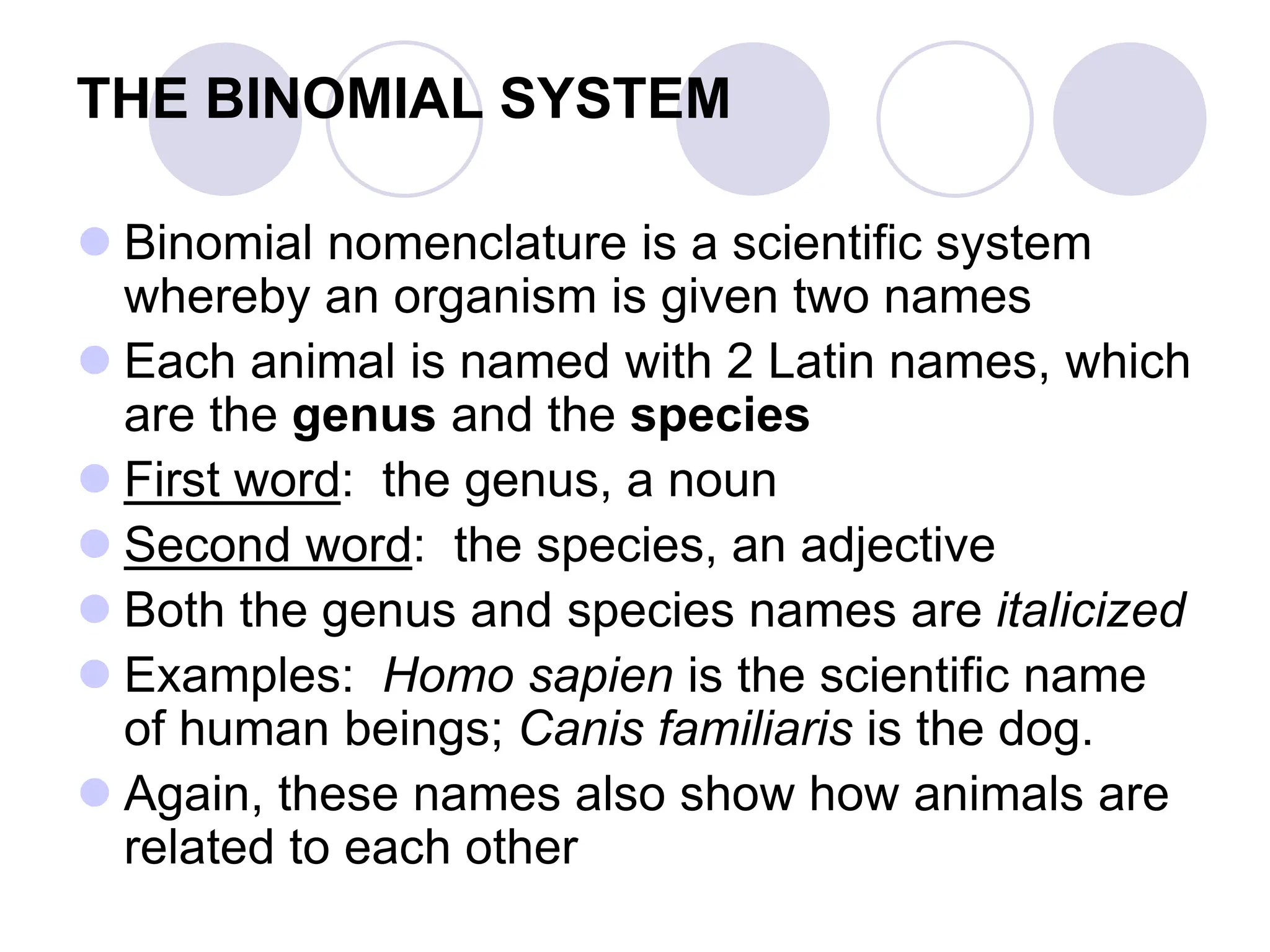 Classification of animalm kknolnolmomos.pptx