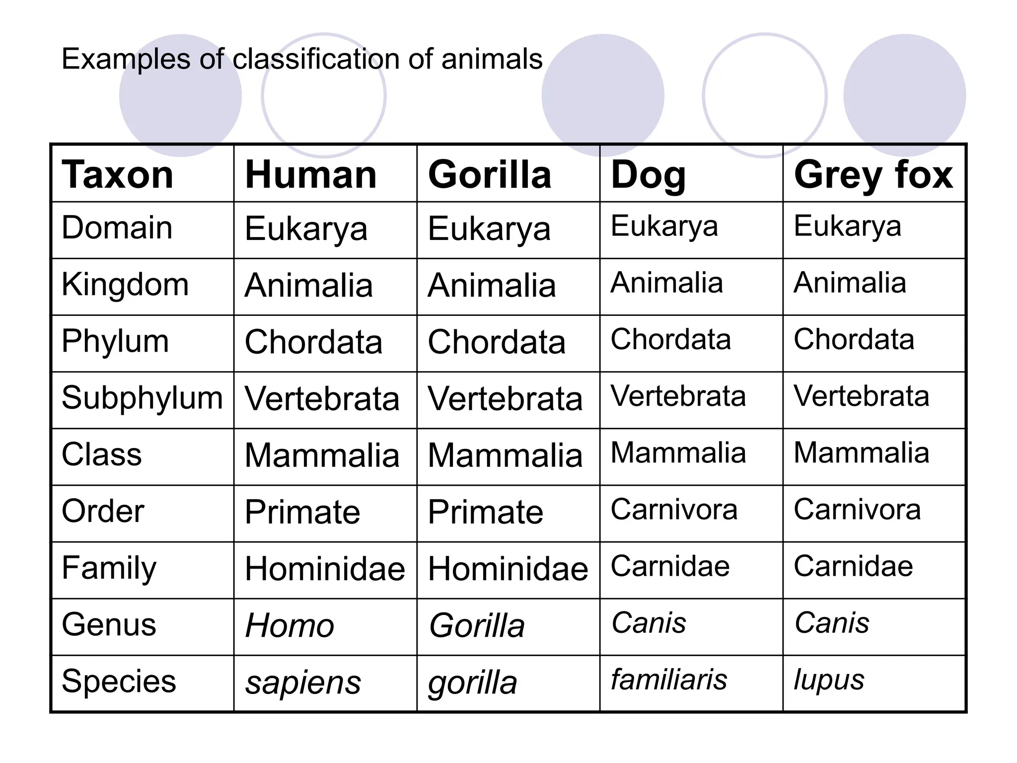 Classification of animalm kknolnolmomos.pptx