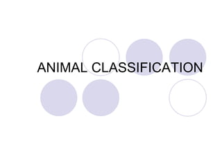 Classification of animalm kknolnolmomos.pptx