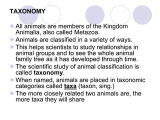 Classification of animalm kknolnolmomos.pptx