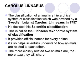 Classification of animalm kknolnolmomos.pptx