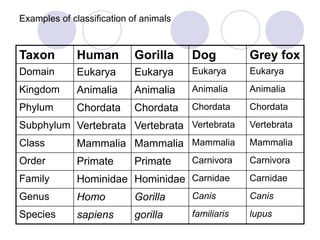 Classification of animalm kknolnolmomos.pptx