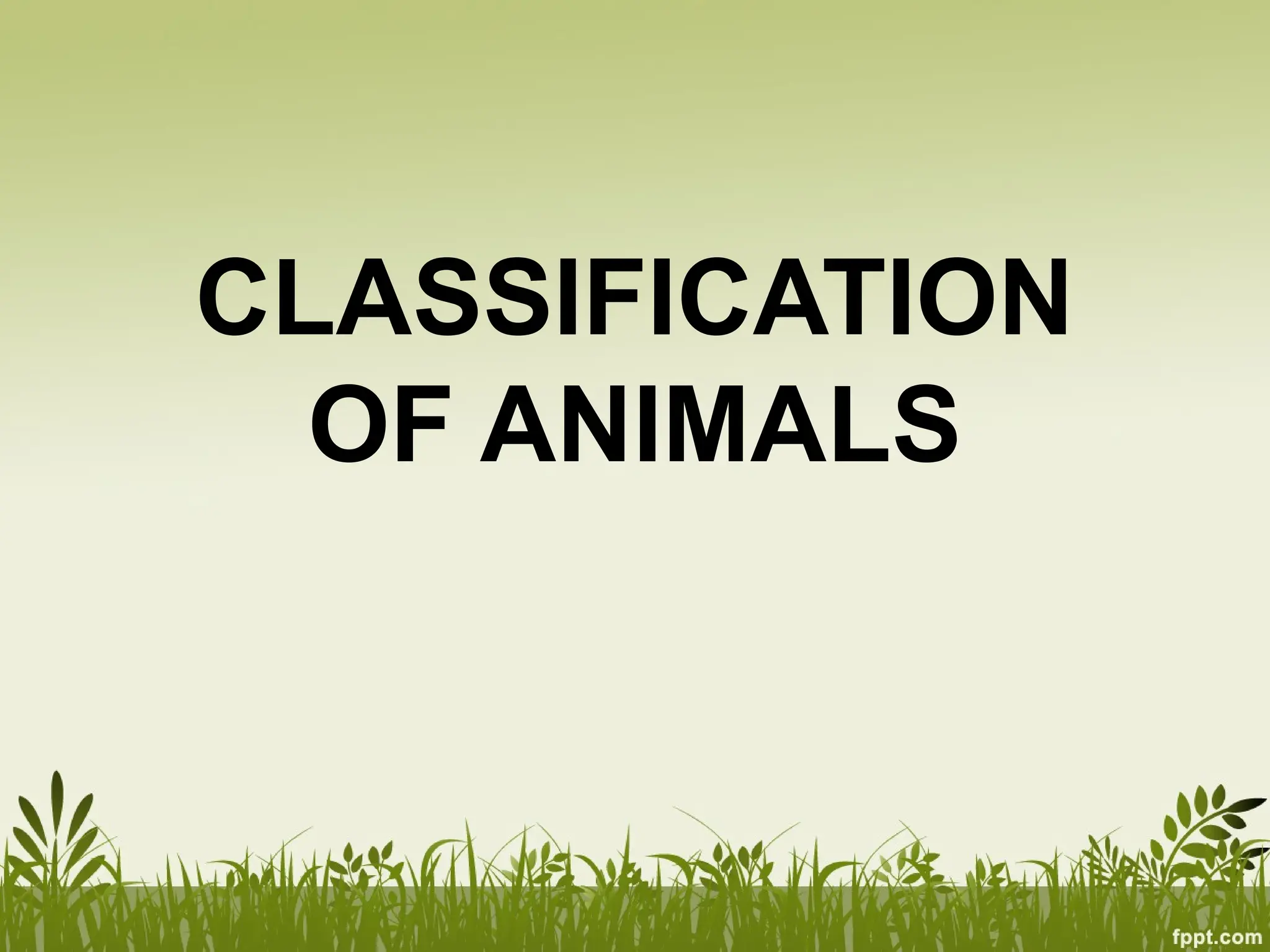CLASSIFICATION OF ANIMALS Grade six open to all | PPTX