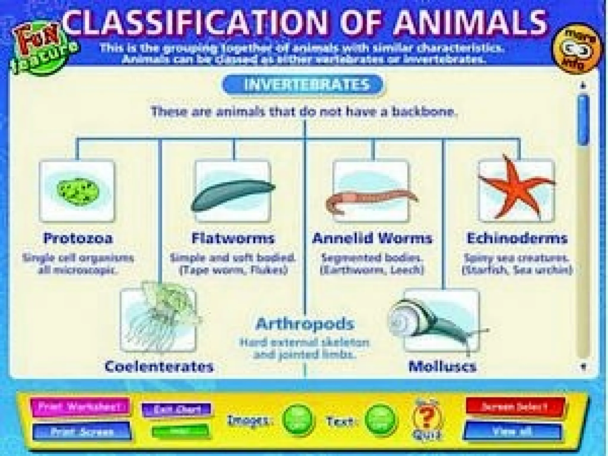 CLASSIFICATION OF ANIMALS Grade six open to all | PPTX