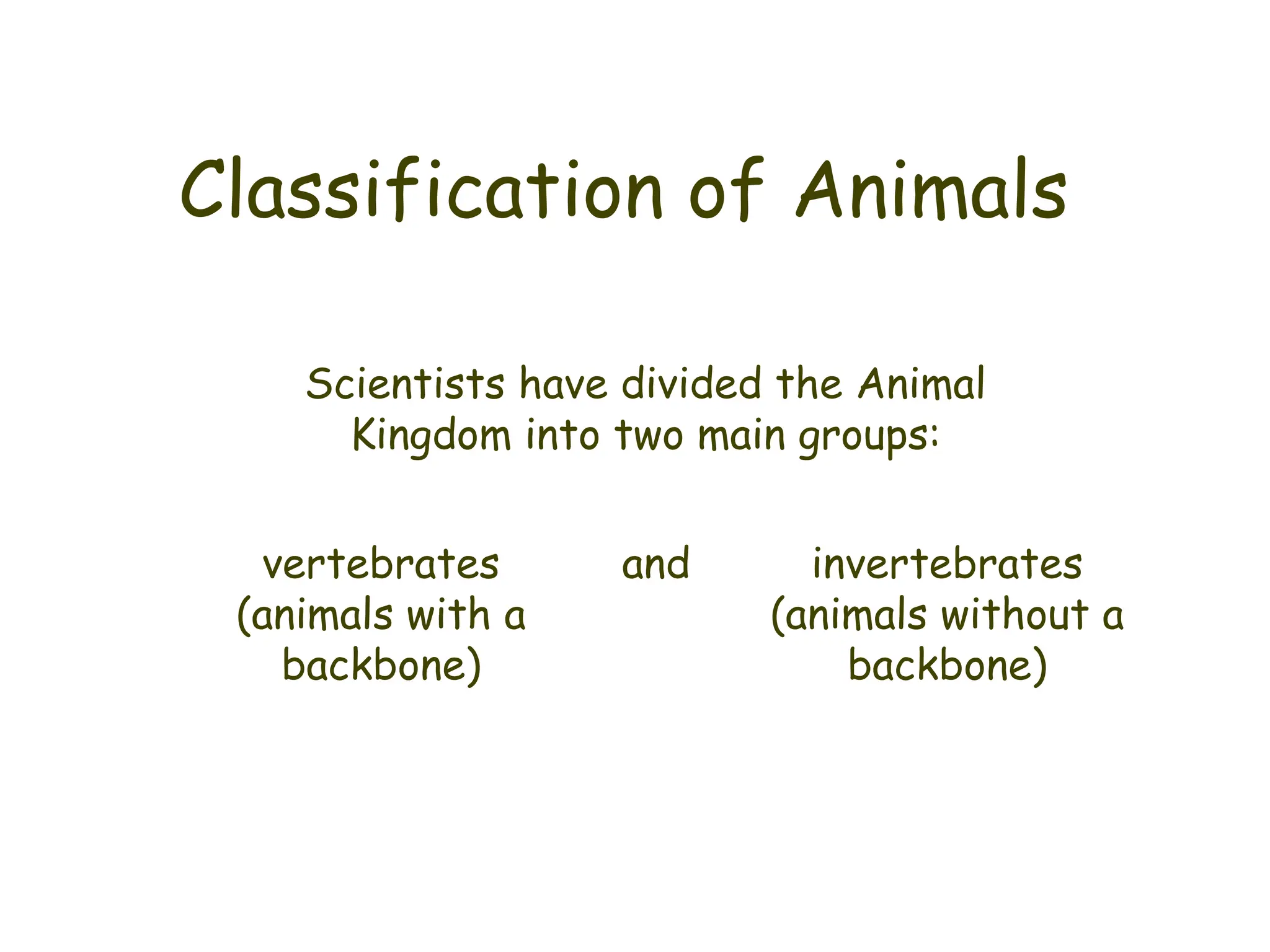 classification of animals.and plantspptx | PPT