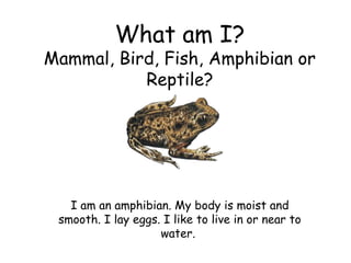 classification of animals.and plantspptx | PPT