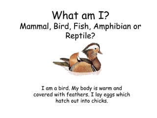 classification of animals.and plantspptx | PPT