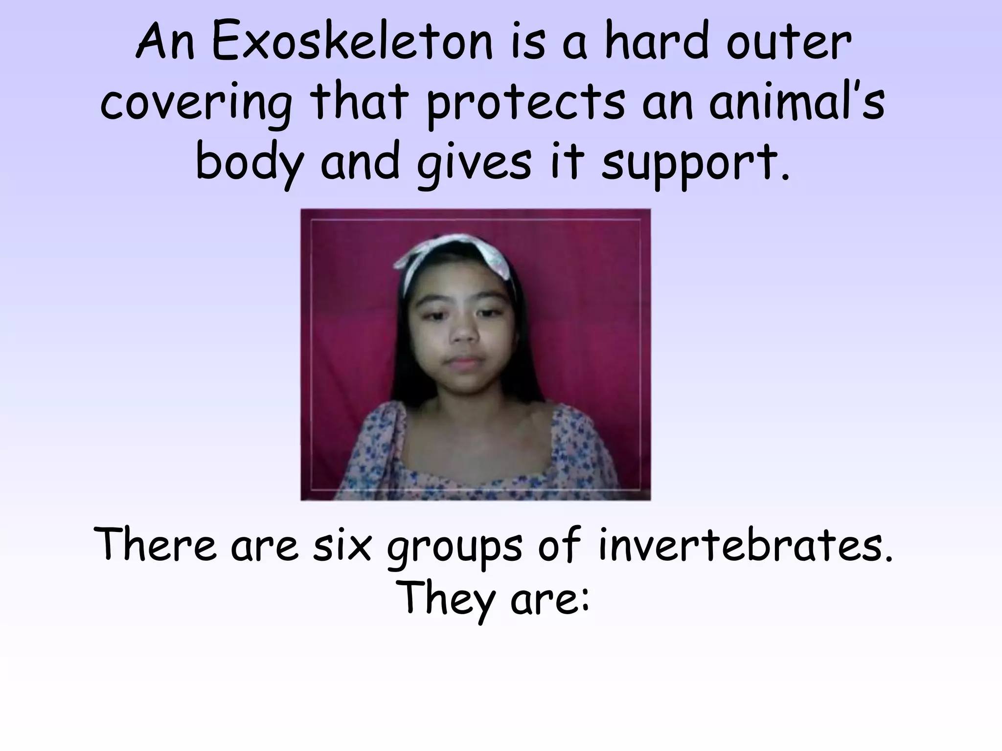 Classification of Animals-Seanna Sofiah Santillan.ppt