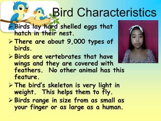 Classification of Animals-Seanna Sofiah Santillan.ppt