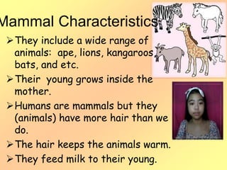 Classification of Animals-Seanna Sofiah Santillan.ppt