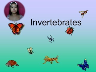 Classification of Animals-Seanna Sofiah Santillan.ppt