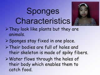 Classification of Animals-Seanna Sofiah Santillan.ppt