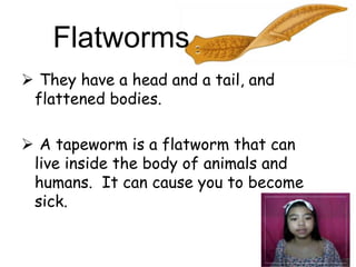 Classification of Animals-Seanna Sofiah Santillan.ppt