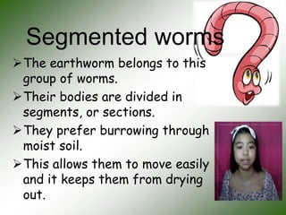 Classification of Animals-Seanna Sofiah Santillan.ppt