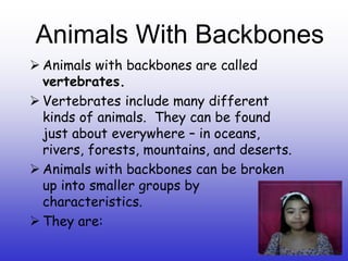 Classification of Animals-Seanna Sofiah Santillan.ppt