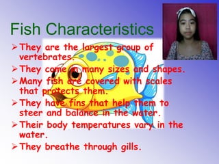 Classification of Animals-Seanna Sofiah Santillan.ppt